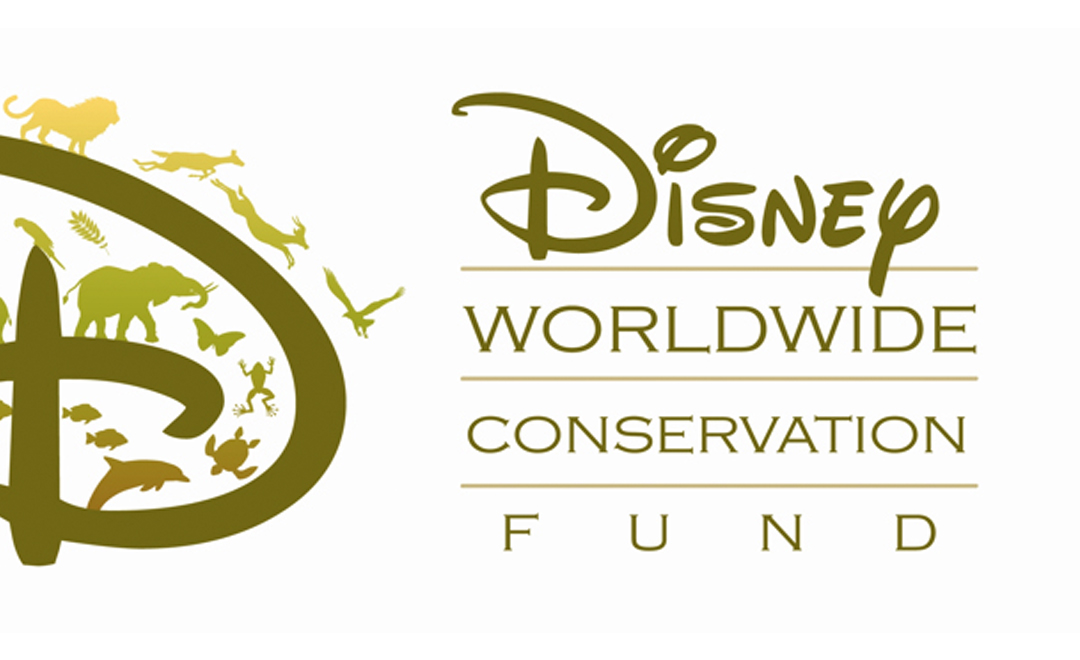 DISNEY WORLDWIDE CONSERVATION FUND – The Disney Sophisticate