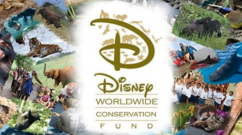 DISNEY WORLDWIDE CONSERVATION FUND – The Disney Sophisticate
